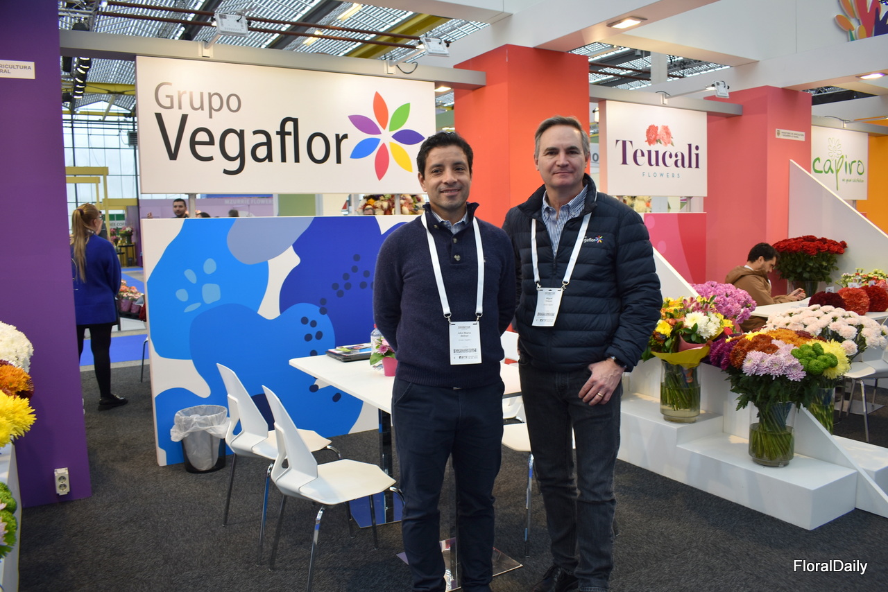 News – Vegaflor